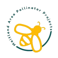 Blog – Maitland Area Pollinator Projects