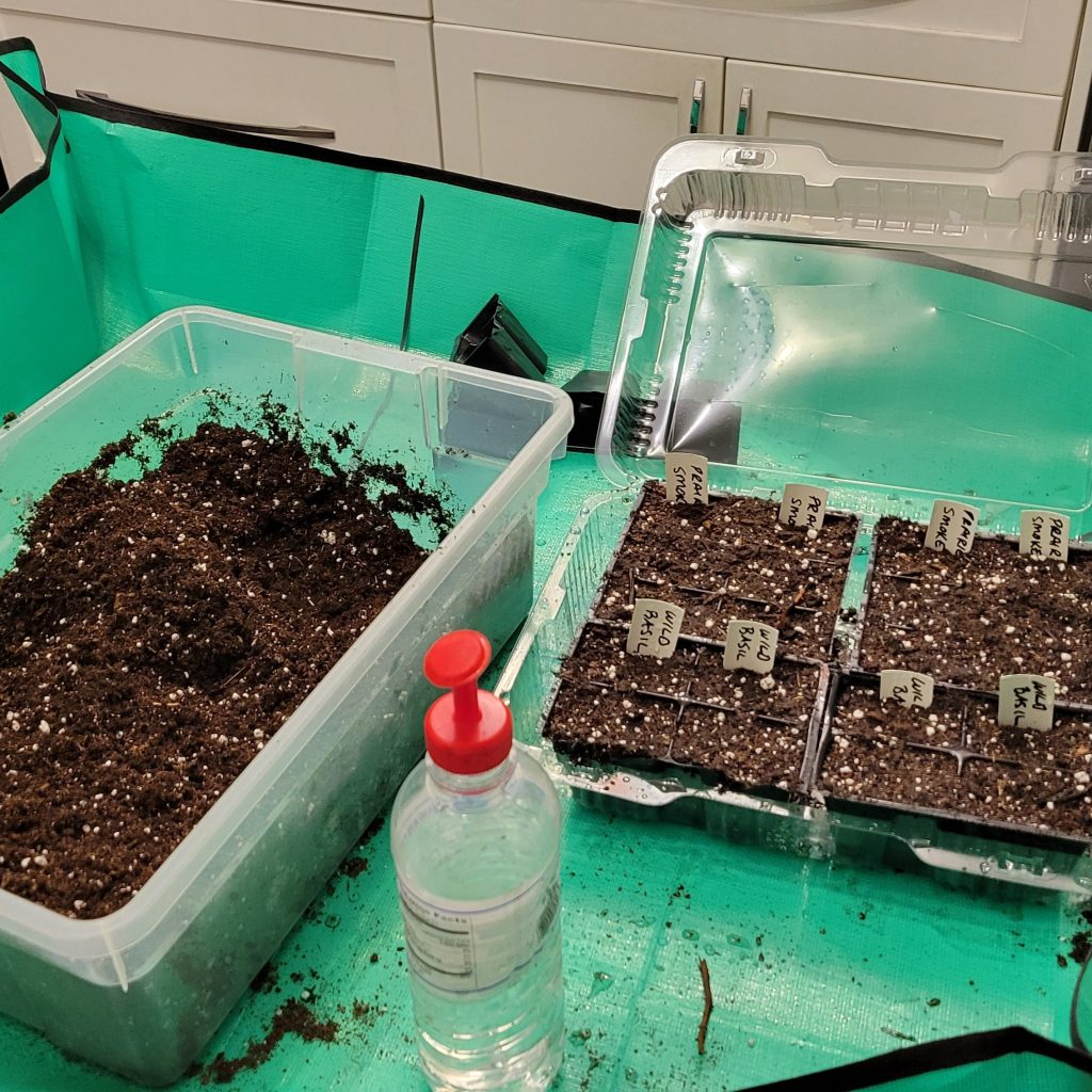 Agincourt Road P.S. Grade 6 Pollinator Project – Maitland Area ...