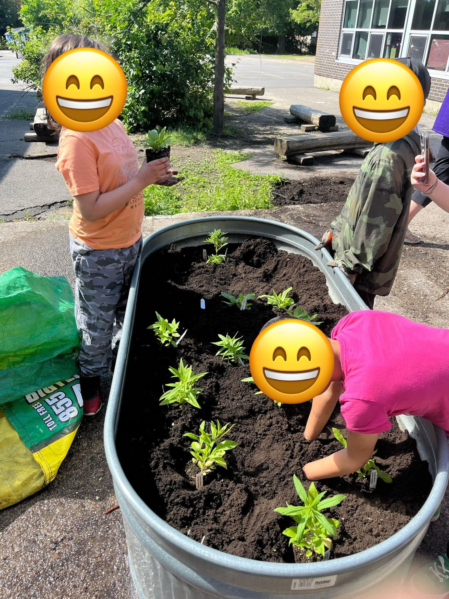 Revamping the Agincourt School Gardens – Maitland Area Pollinator Projects