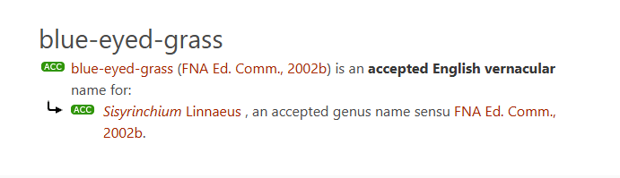 Using VASCAN – Maitland Area Pollinator Projects